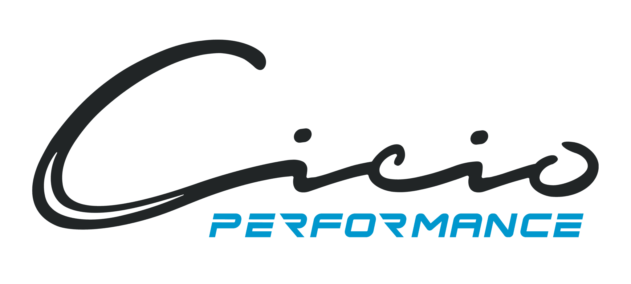 Cicio Performance - DXA Group